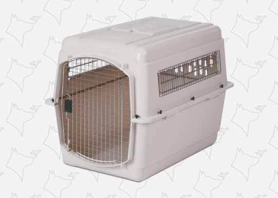 Petmate M – for safe air travel with medium-sized dogs - Pets2Fly