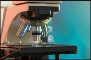 Rabies Titer Test - Travel With Dogs And Cats - Pets2Fly